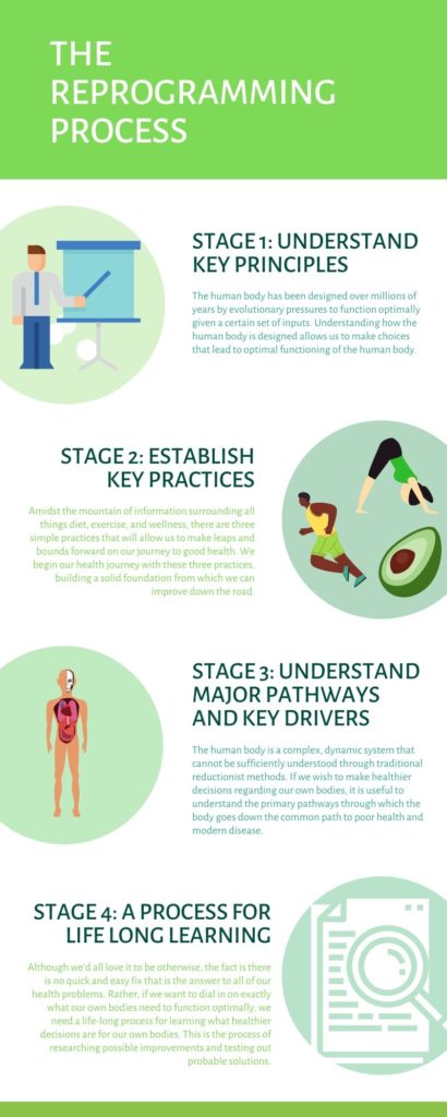 The Reprogramming Process – Your Health, Reprogrammed
