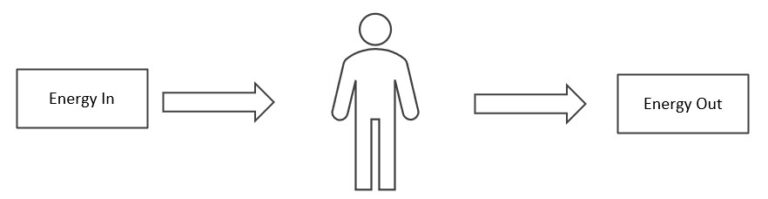 Healthy Weight Loss – Energy Balance Applied To The Human Body – Your ...